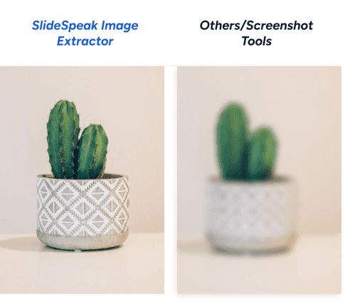 PowerPoint Image Extractor - SlideSpeak