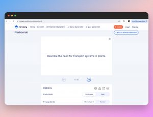 Creating Flashcards with AI: Top 5 Tools for Revision - SlideSpeak